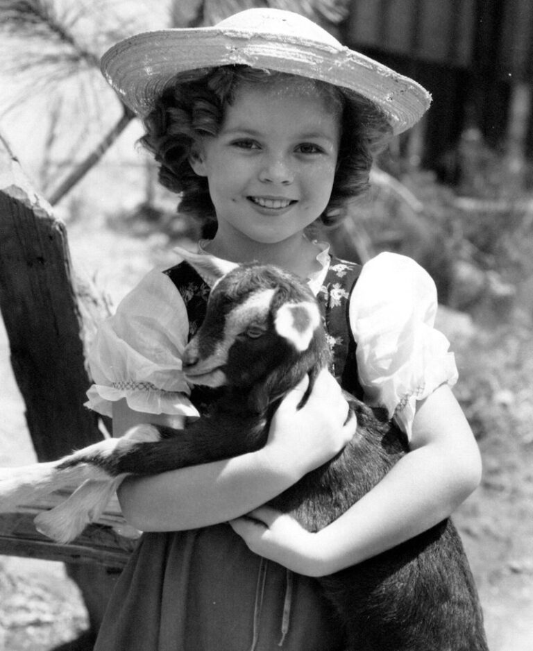 Shirley Place – L.A. Street Names